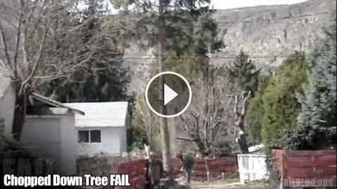 Chopped Down Tree FAIL
